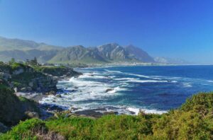 Top 30 Things to Do in Hermanus - Cape Tourism