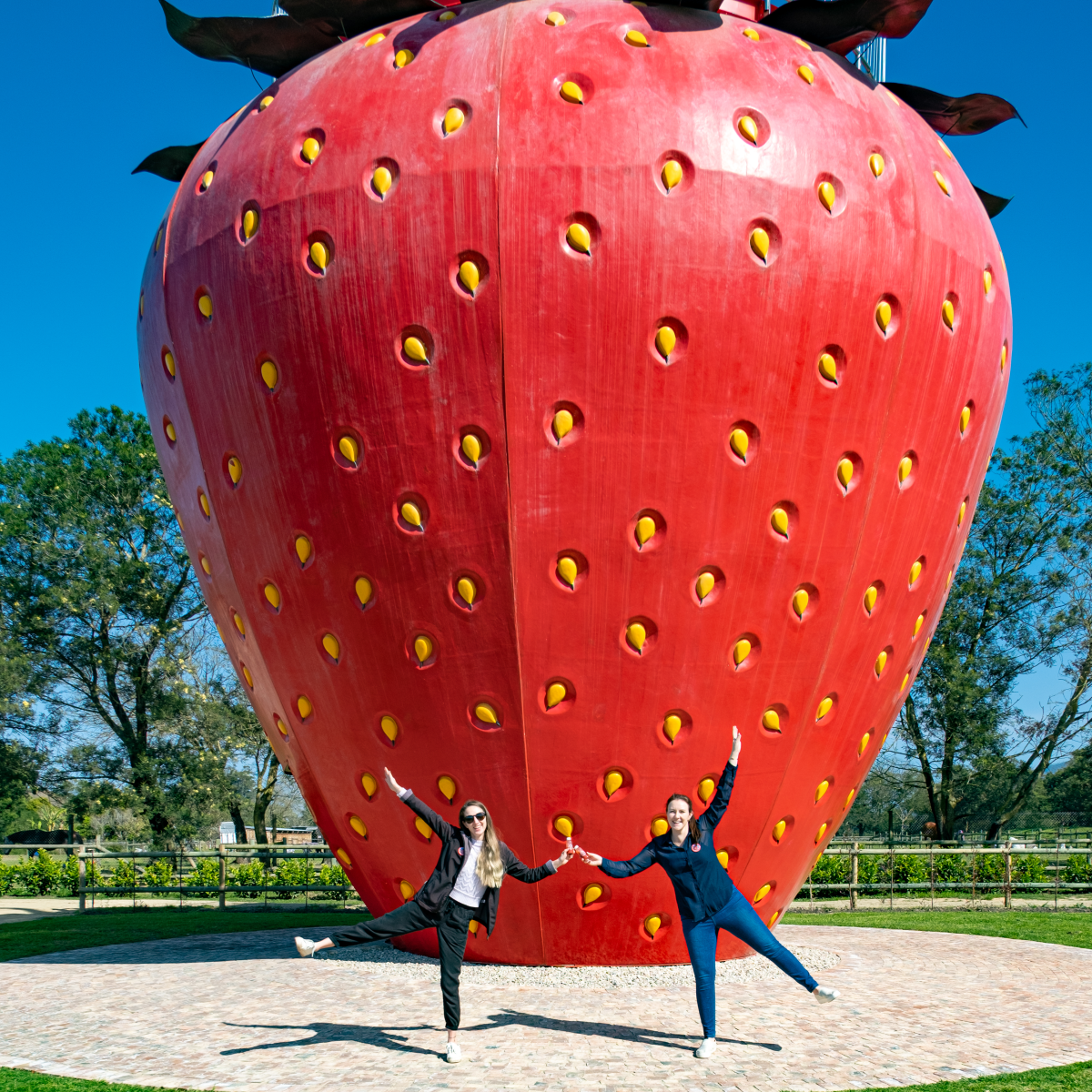 Redberry Farm - A Strawberry Picking Adventure