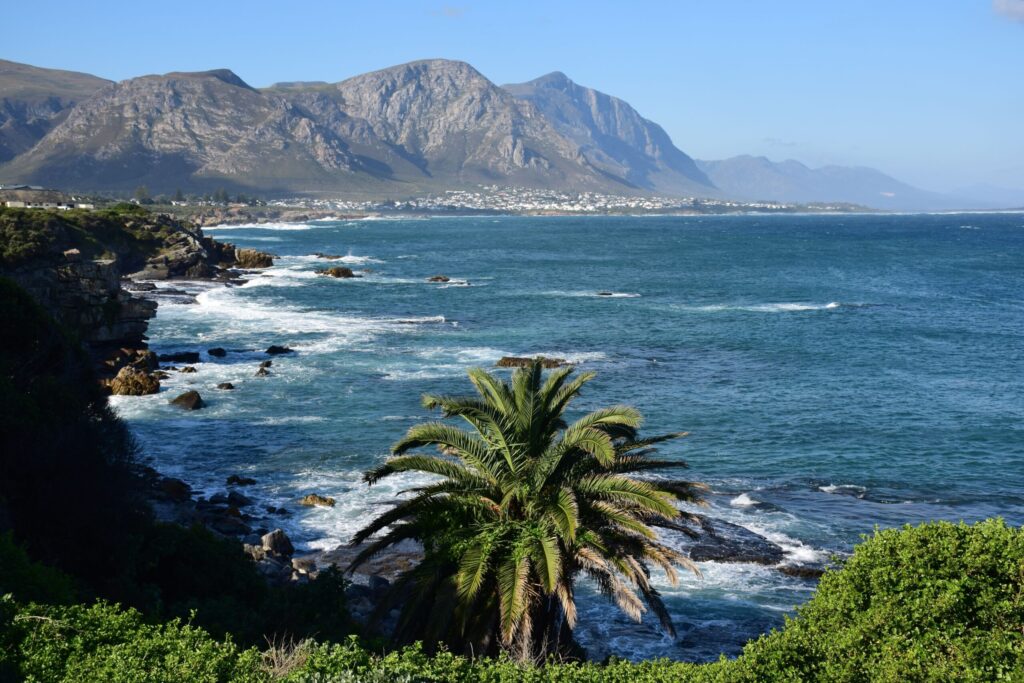 Hermanus - Whale Watching, Wine Tasting, and More