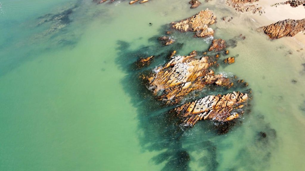 Best Cape Town Surfing Spots for All Skill Levels - Surf's Up!