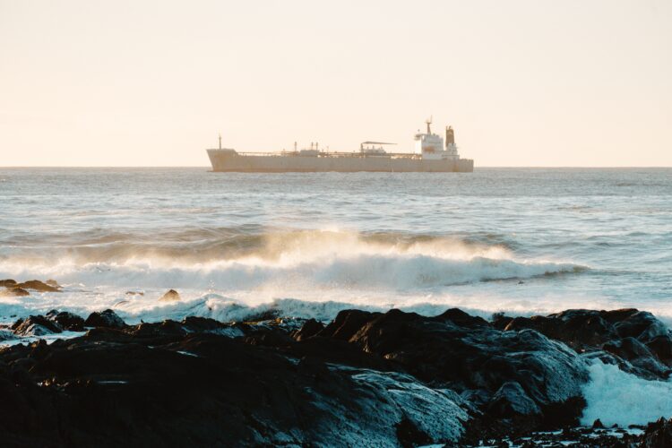 Top 5 Things to do in Seapoint - CapeTourism