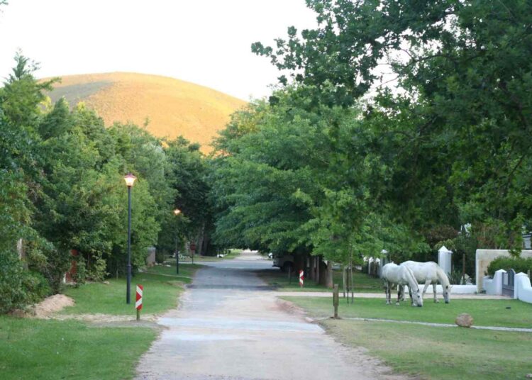 The Dorp Hotel in Cape Town - An Exceptional Stay - Cape Tourism