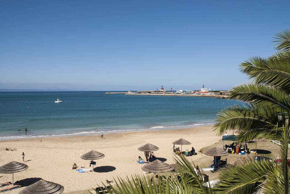 Mossel Bay - Aquatic Adventures and Shoreline Secrets