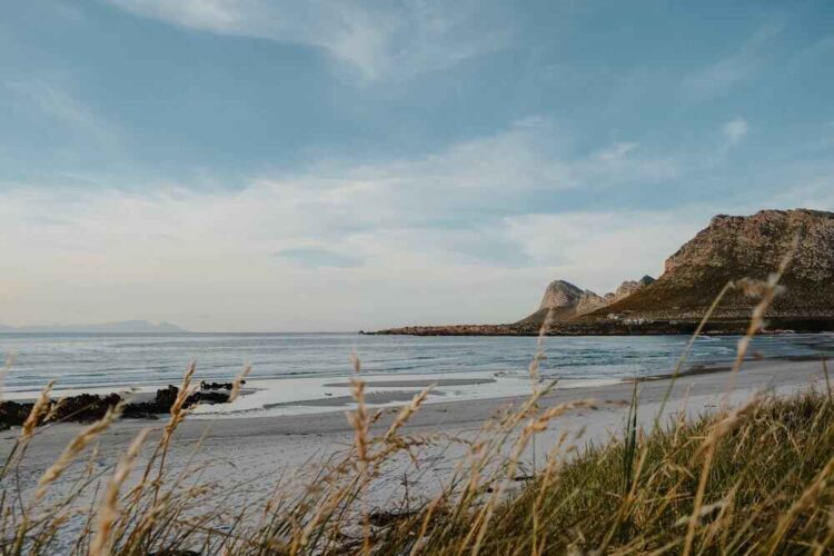 Pringle Bay Beach - A Seaside Oasis - Cape Tourism