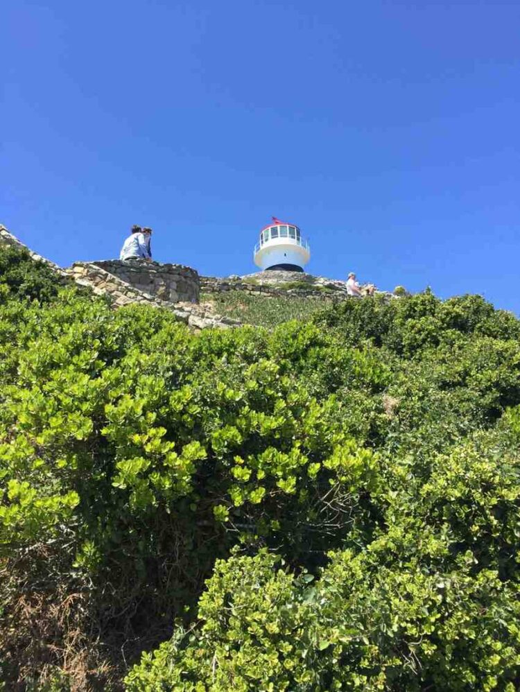 Exploring Lighthouses in the Western Cape - Cape Tourism