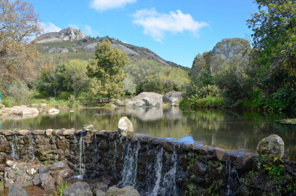 Top 15 Nature Reserves In and Around Cape Town - Cape Tourism