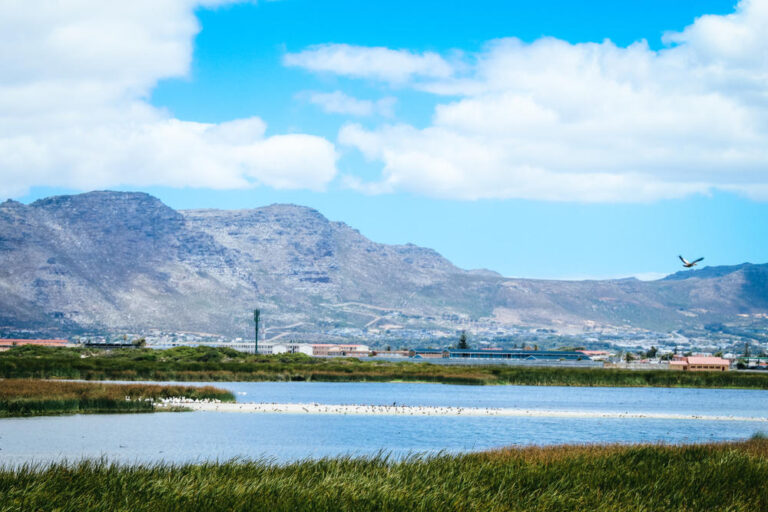 Top 15 Nature Reserves In and Around Cape Town - Cape Tourism
