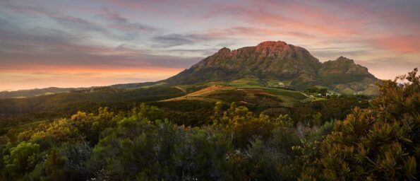Tokara Wine Estate - Experience Excellence - Cape Tourism
