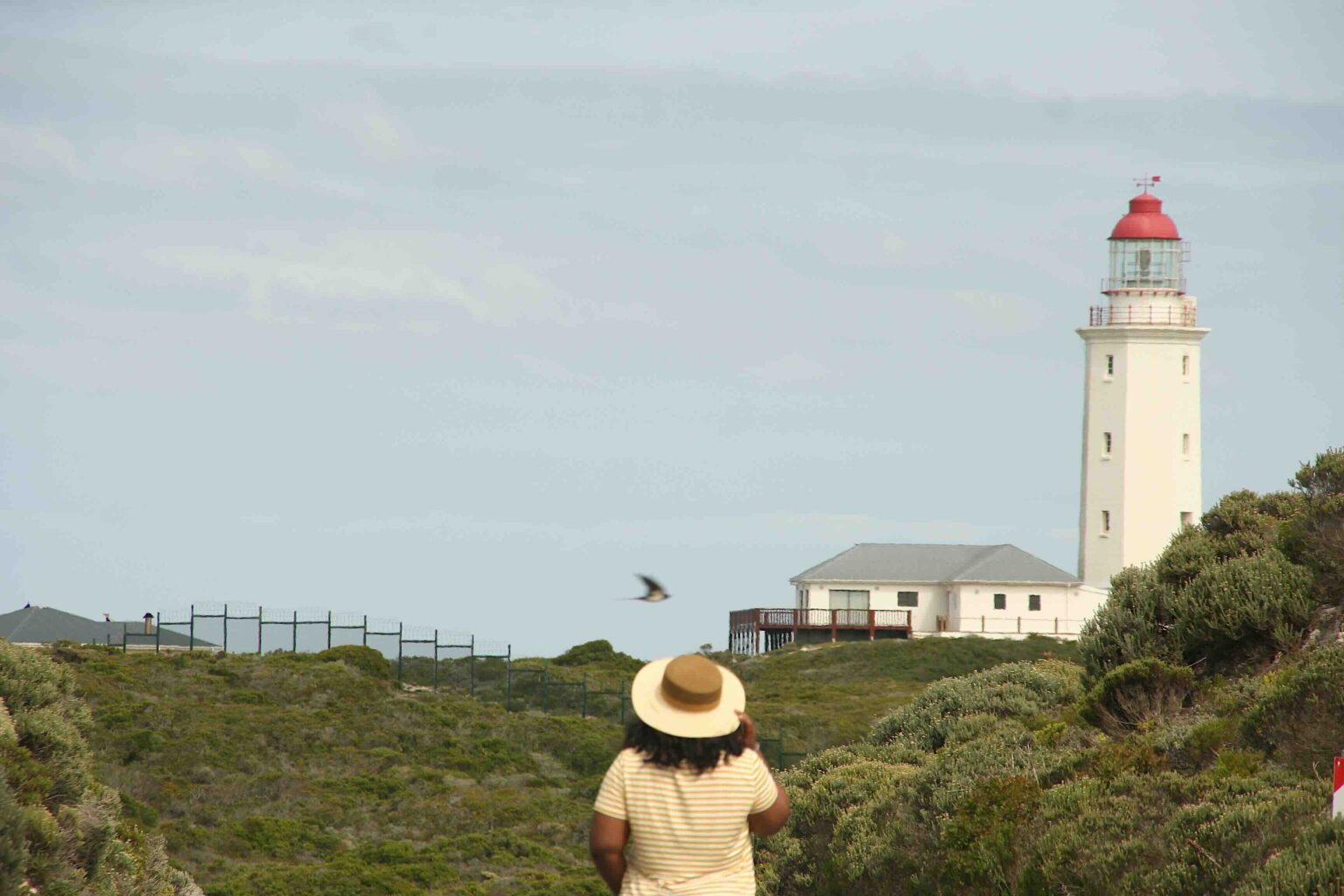 Exploring Lighthouses in the Western Cape - Cape Tourism