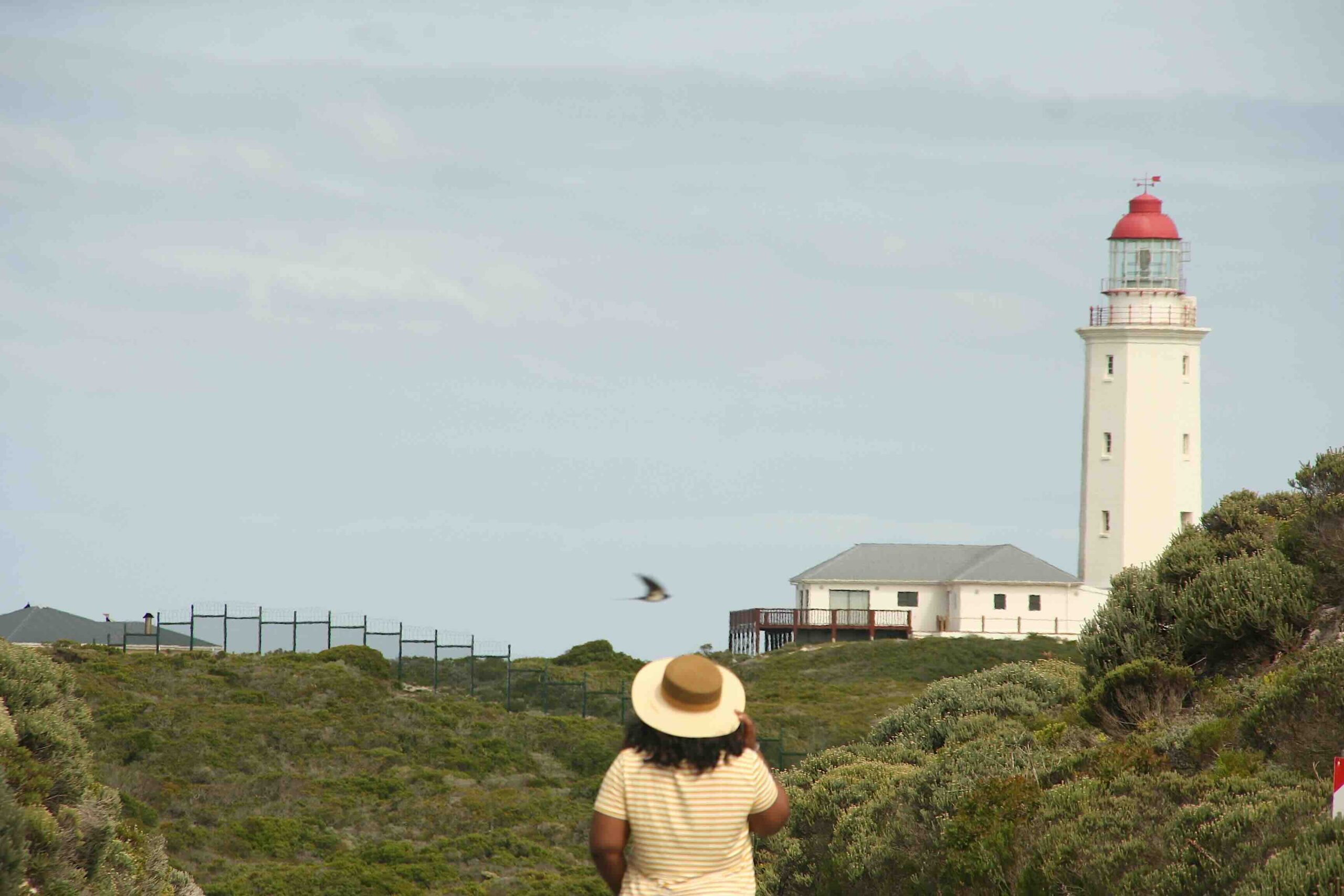 Exploring Lighthouses in the Western Cape - Cape Tourism