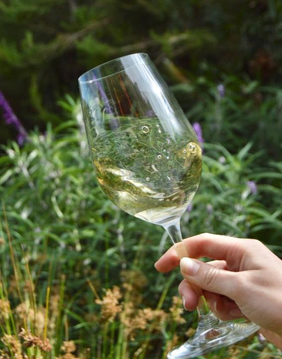 Top Spots to Go Wine Tasting in Cape Town - Cape Tourism