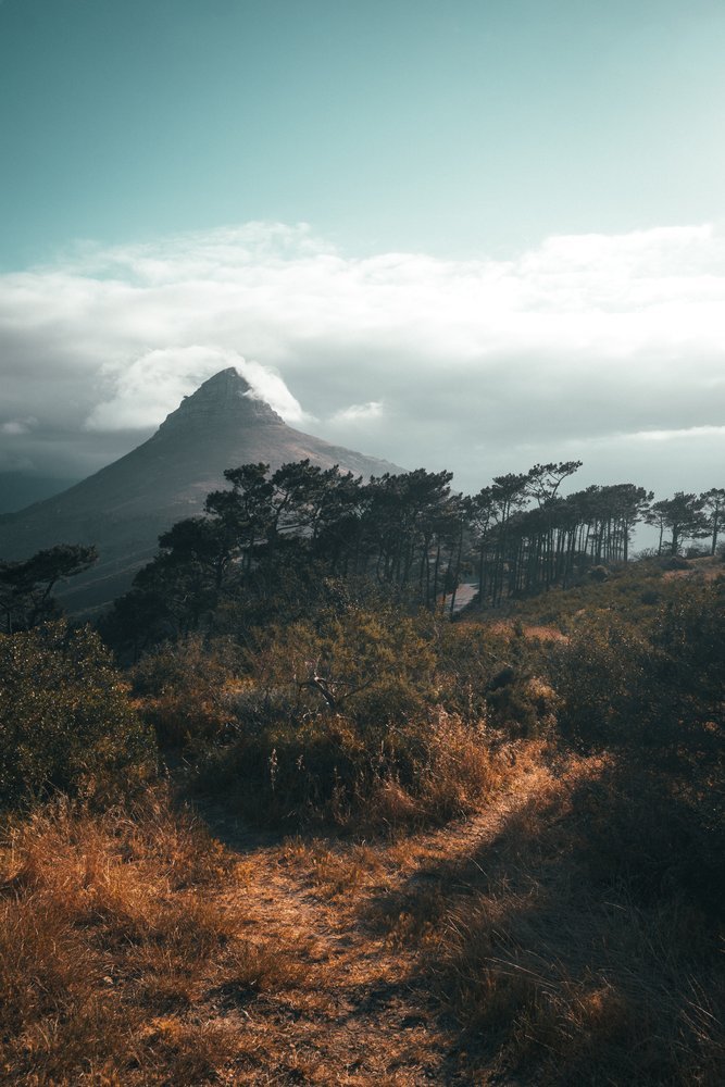 A Guide to a Hike Up Lions Head - Cape Tourism