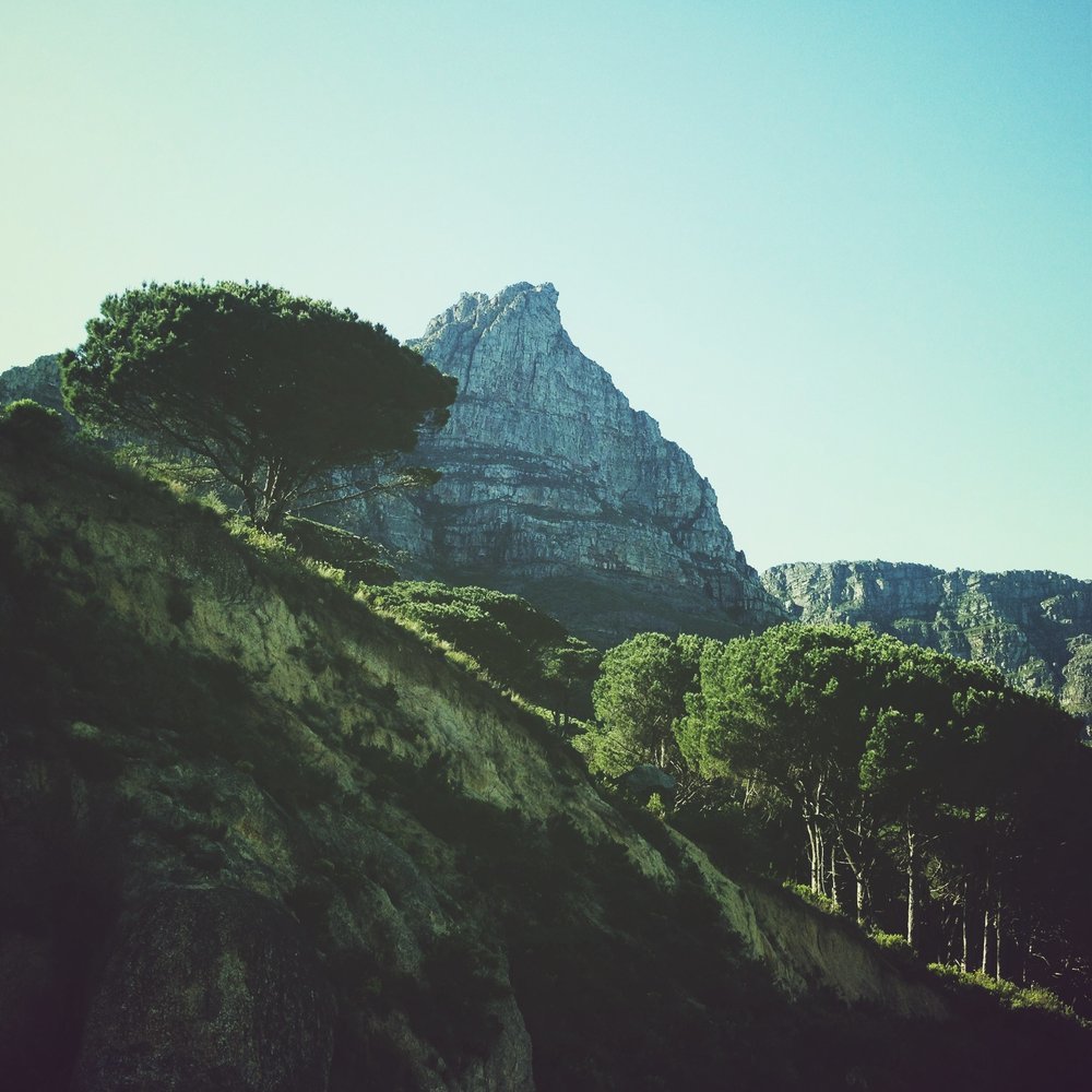 A Go to Guide to Camps Bay