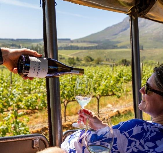 Waterford Estate - Crafting the Finest Quality Wines - Cape Tourism