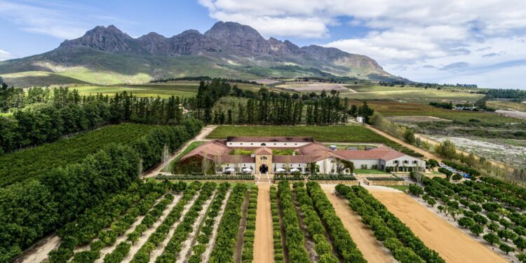 Waterford Estate - Crafting the Finest Quality Wines - Cape Tourism