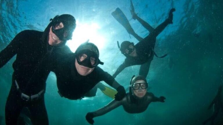 Top 10 Places to Go Snorkelling in Cape Town - Cape Tourism