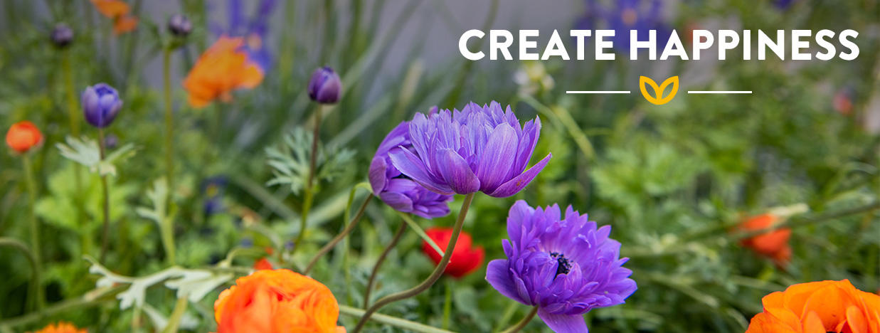 Stodels Bellville - A Horticultural Haven - Cape Tourism