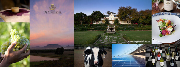 Top 30 Restaurants in Durbanville (2024) - Cape Tourism
