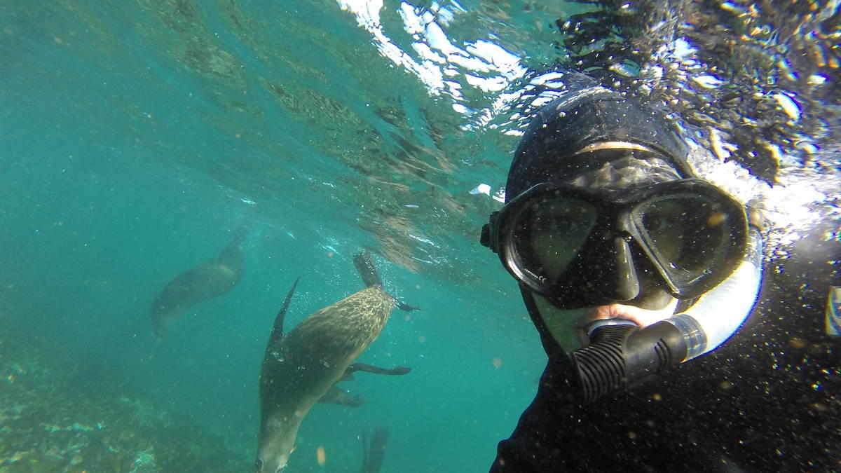 Top 10 Places to Go Snorkelling in Cape Town - Cape Tourism