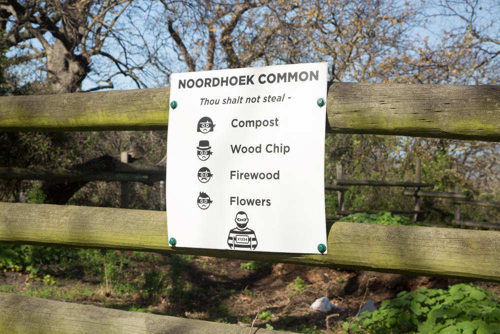 Noordhoek Common - A Natural Escape - Cape Tourism