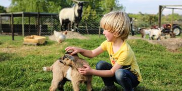 Vredenheim Animal Farm - Wildlife and Winery - Cape Tourism