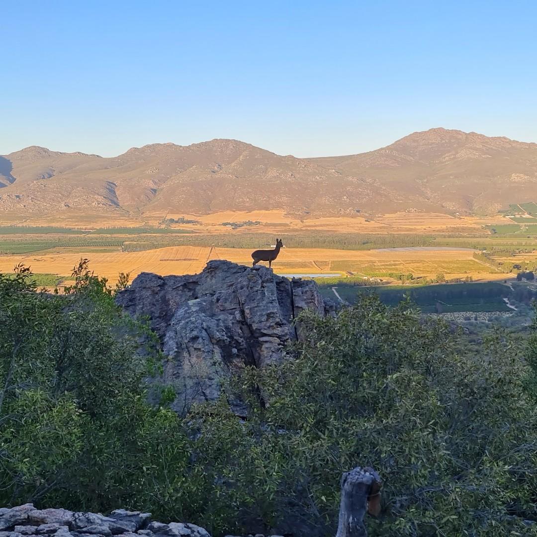 10 Must-Visit Hiking Trails with Waterfalls and Rock Pools