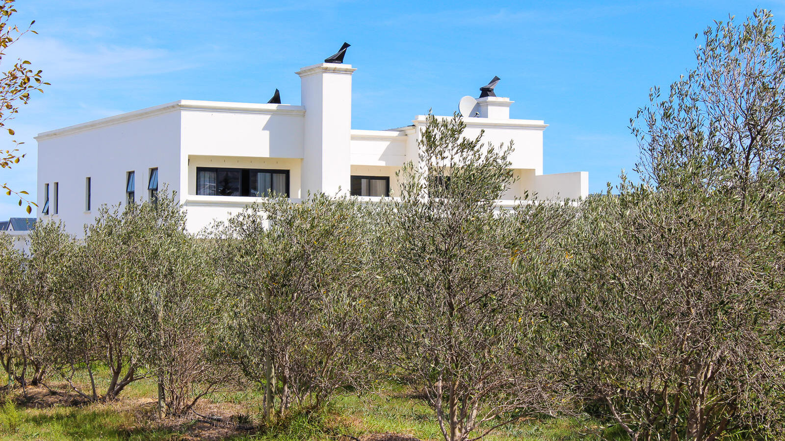 The 10 Best Estates in Cape Town and Surrounds (2024) - Cape Tourism