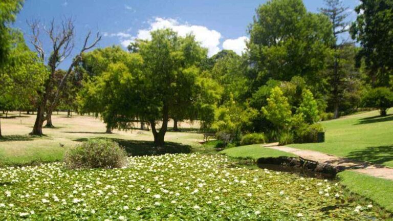 The 20 Best Gardens and Parks in the Cape - Cape Tourism
