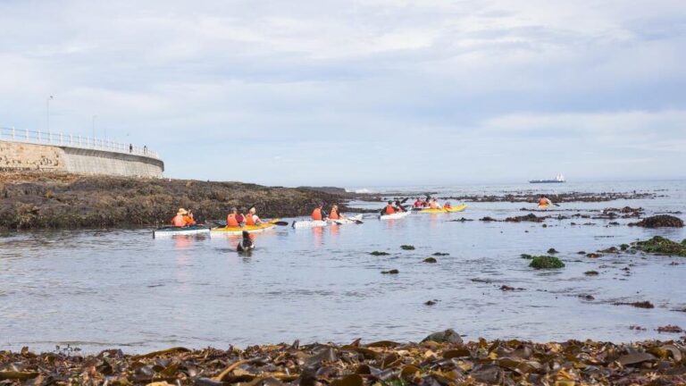 10 Best Bays and Beaches in the Western Cape - Cape Tourism