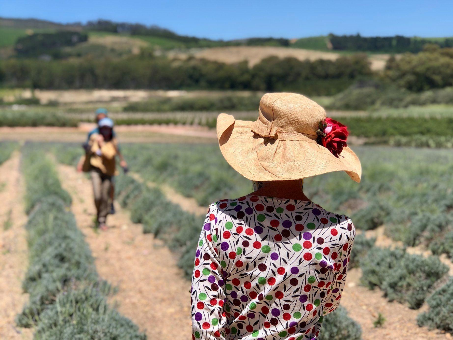 Babylonstoren - A Luxury Farm Retreat - Cape Tourism