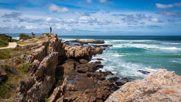 Top 30 Things to Do in Hermanus - Cape Tourism