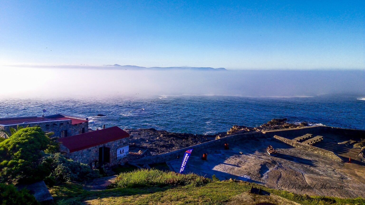 Top 30 Things to Do in Hermanus - Cape Tourism