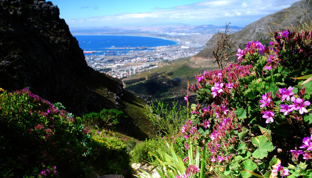The Ultimate Guide to Platteklip Gorge