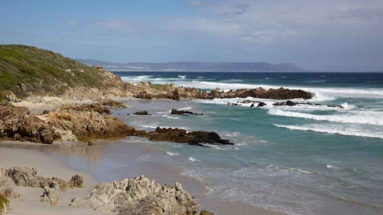 Top 30 Things to Do in Hermanus - Cape Tourism