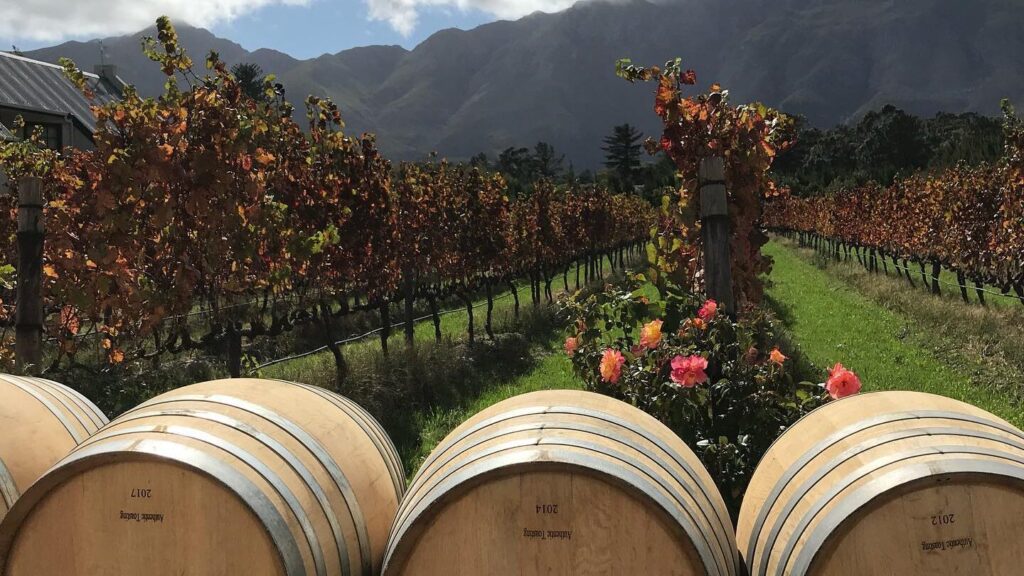 The 15 Best Wine Farms in Franschhoek - Cape Tourism