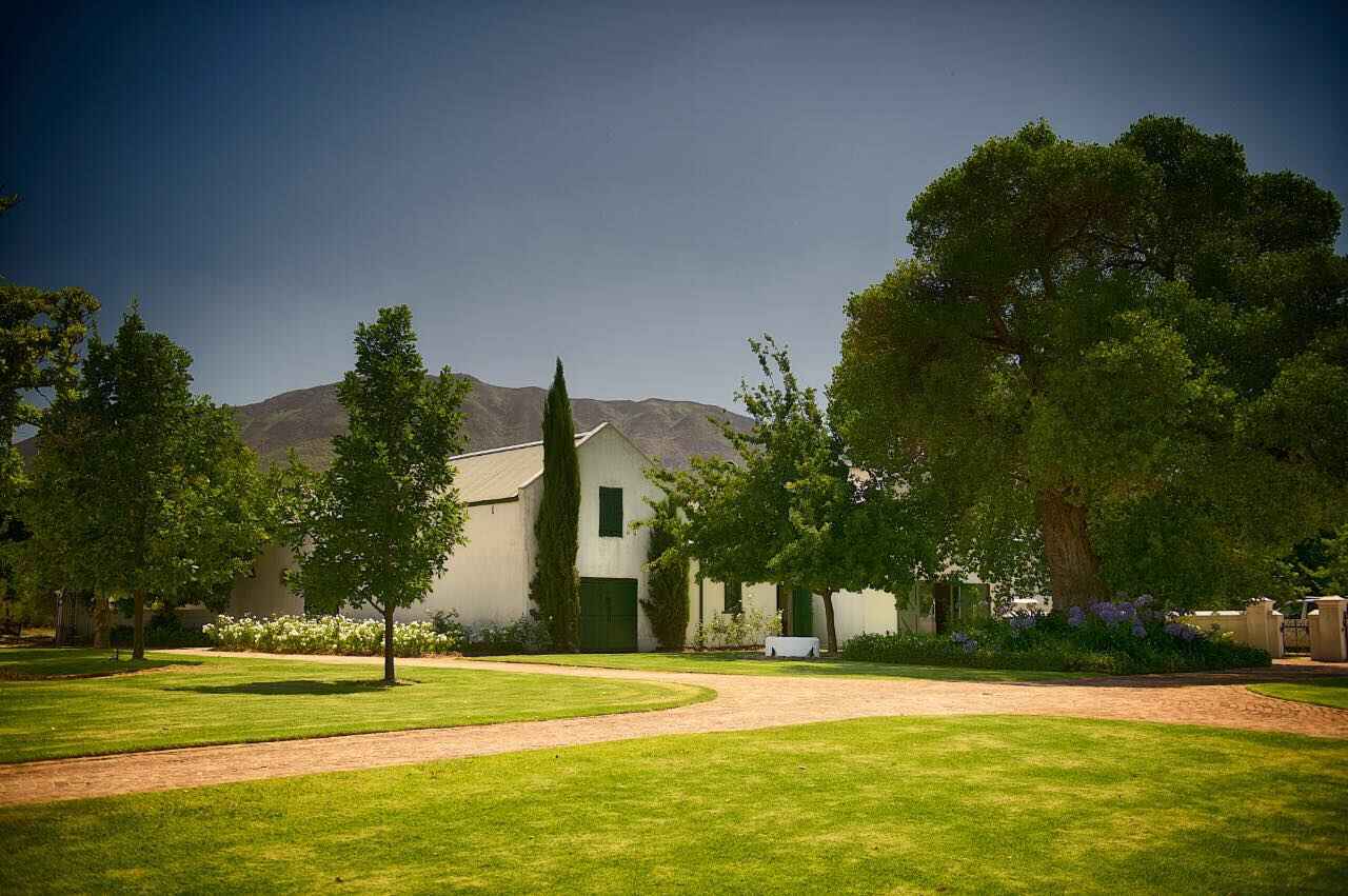Wine of the Week - Bosman Adama White 2023 - Cape Tourism
