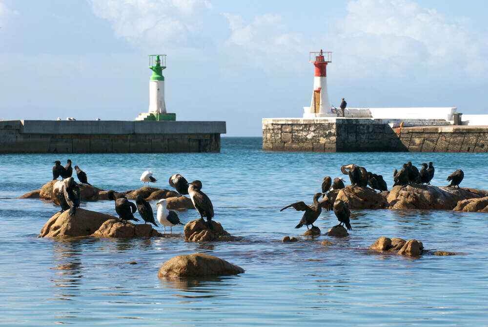 A Travel Guide to Kalk Bay - Cape Tourism