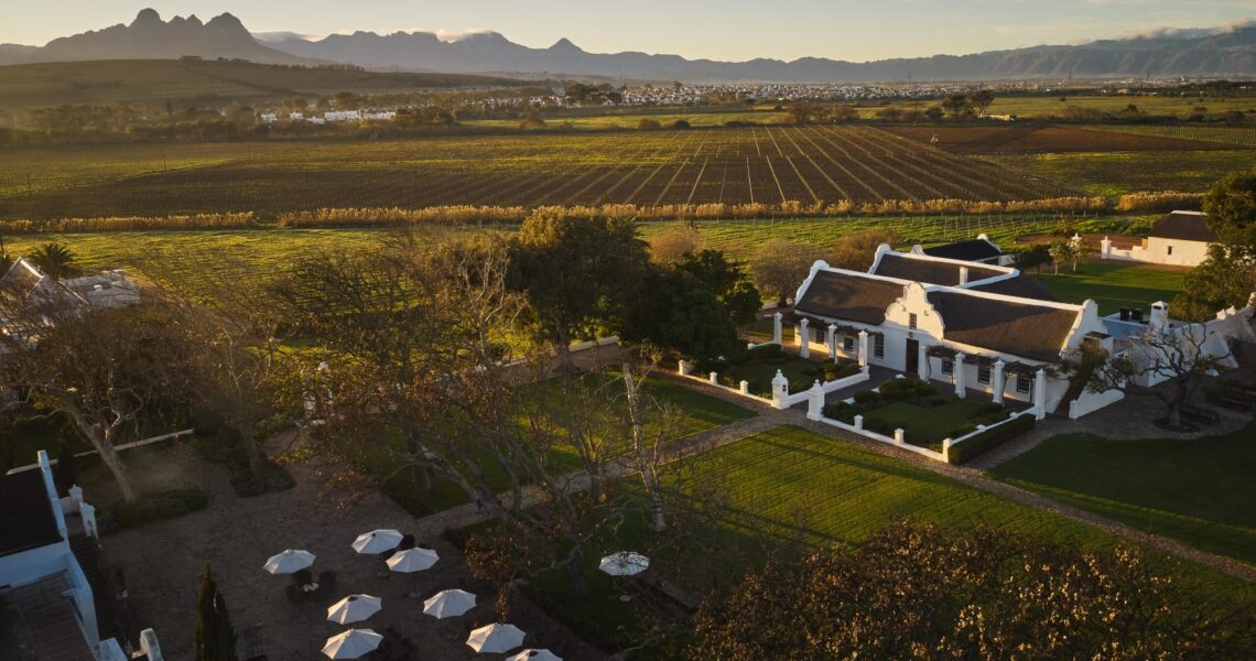 Wine of the Week - Vergenoegd Löw Chardonnay 2023 - Cape Tourism