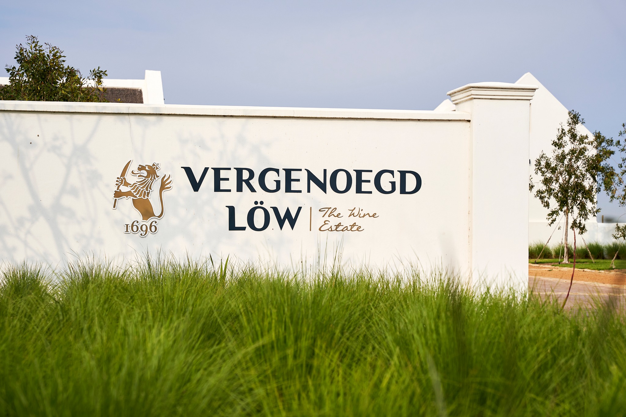 Wine of the Week - Vergenoegd Löw Chardonnay 2023 - Cape Tourism
