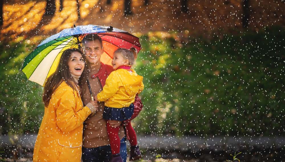 Top 20 Things to Do this Winter in Cape Town and Around (2024) - Cape ...