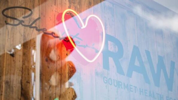 Cape Town’s Top Vegan Restaurants You Have to Try - Cape Tourism