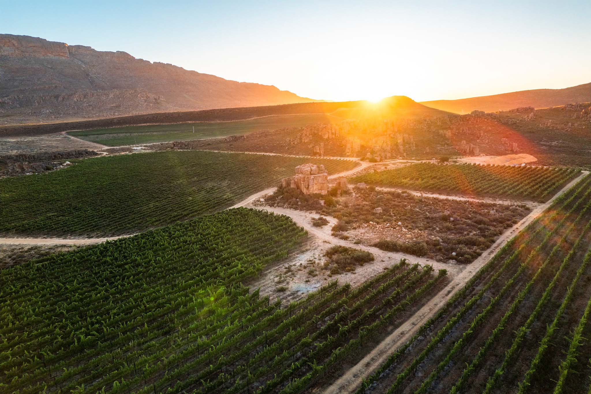 Wine of the Week - Cederberg Cabernet Sauvignon - Cape Tourism