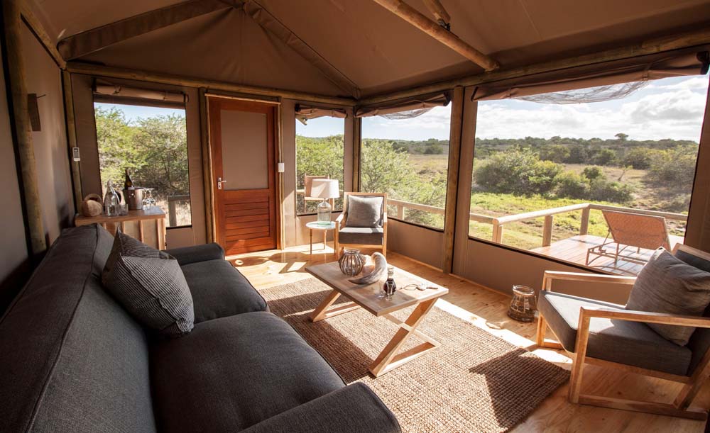 Plan an Exceptional Getaway with Lion Roars Hotels & Lodges - Cape Tourism