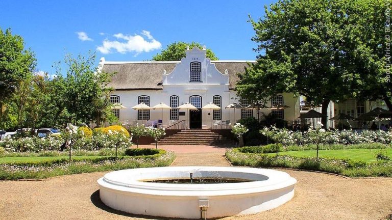 Wine of the Week - Neethlingshof The Owl Post Pinotage 2021 - Cape Tourism