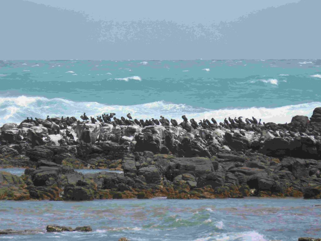 7 Reasons Why You Need to Visit the Southernmost Tip of Africa - Cape ...
