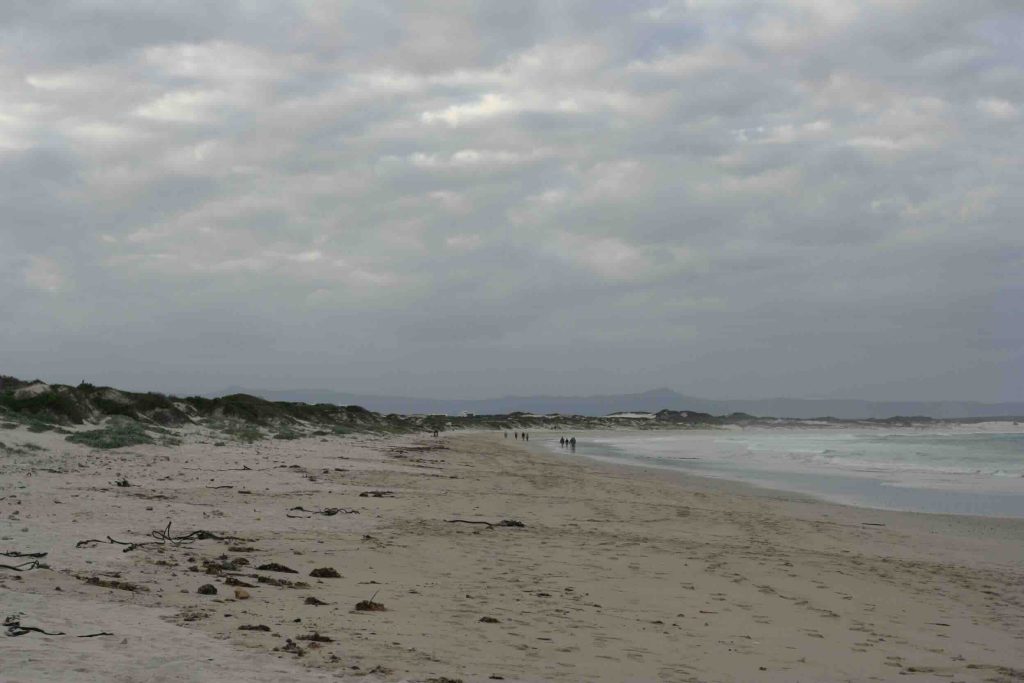 Why Struisbaai Should Be Your Next Coastal Escape - Cape Tourism