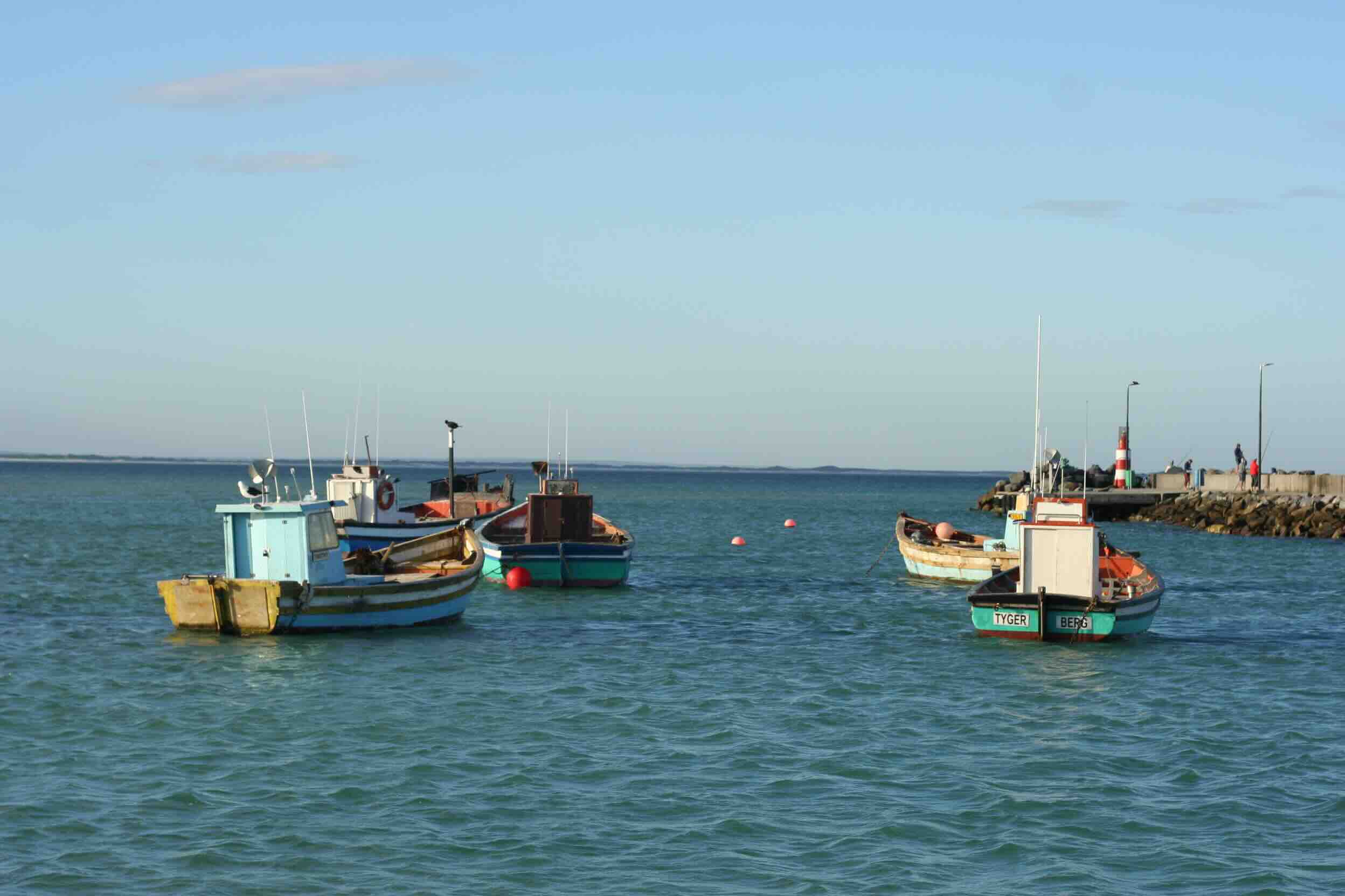 Why Struisbaai Should Be Your Next Coastal Escape - Cape Tourism