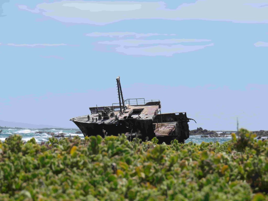 Why Struisbaai Should Be Your Next Coastal Escape - Cape Tourism