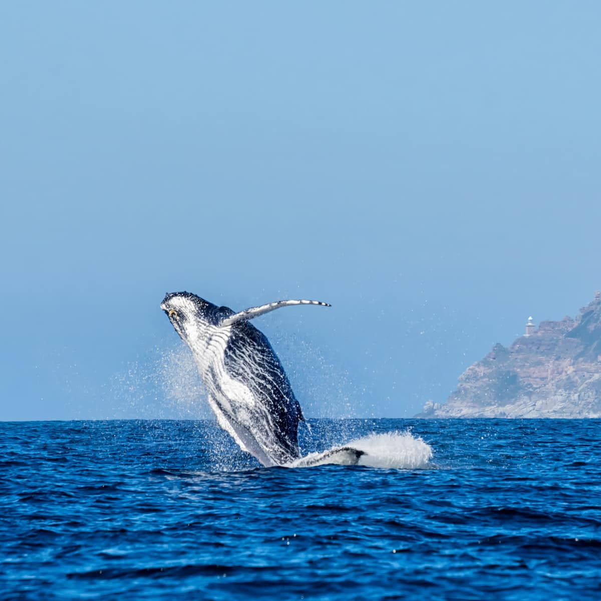 When Is the Best Time to Visit Cape Town? - Cape Tourism