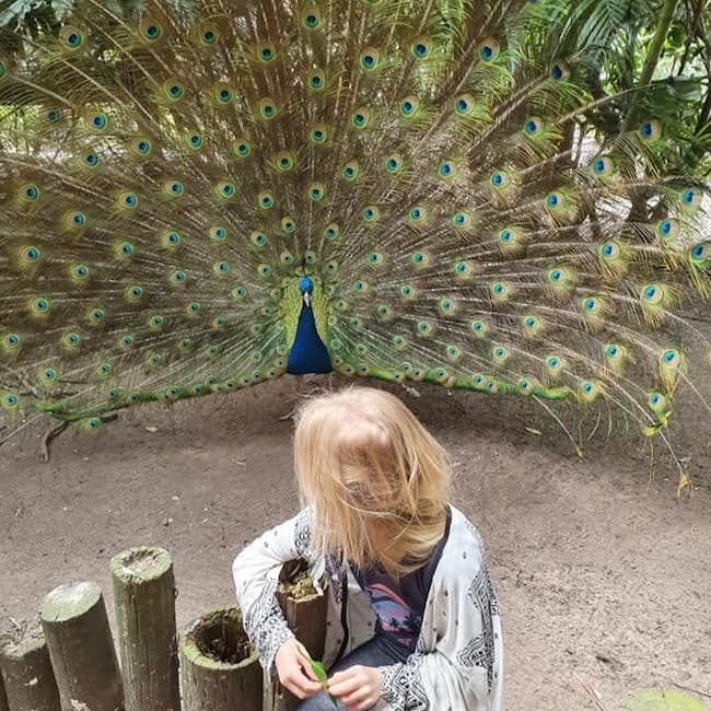 Explore Cape Town With Kids: Top 10 Family-Friendly Activities - Cape ...